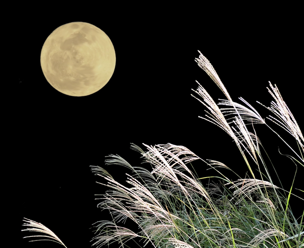 Japanese Moon Viewing - Maple and Moon